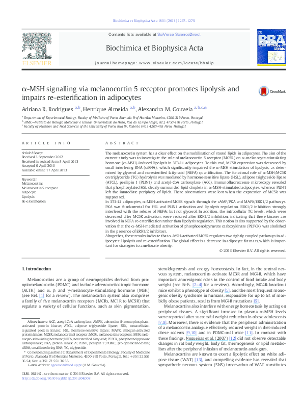 (PDF) Alpha-MSH signalling via melanocortin 5 receptor promotes ...
