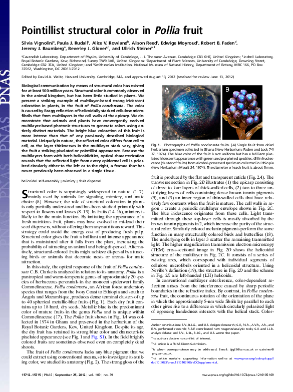 (PDF) Pointillist structural color in Pollia fruit