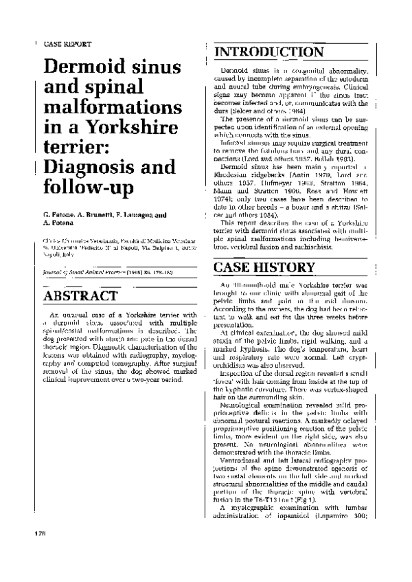 (PDF) Dermoid sinus and spinal malformations in a Yorkshire terrier ...