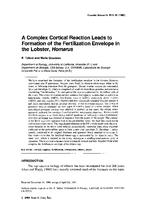 (PDF) A complex cortical reaction leads to formation of the ...
