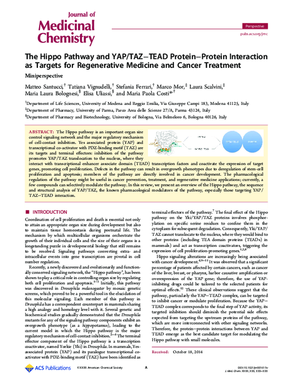 (PDF) The Hippo Pathway and YAP/TAZ-TEAD Protein–Protein Interaction as ...