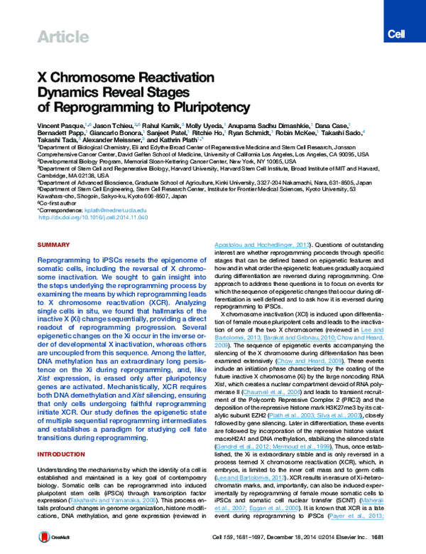 (PDF) X chromosome reactivation dynamics reveal stages of reprogramming ...