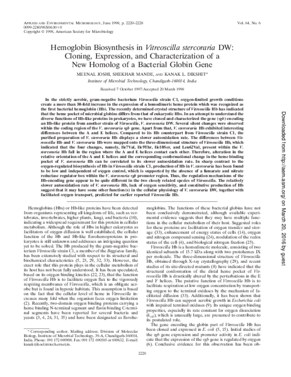 (PDF) Hemoglobin biosynthesis in Vitreoscilla stercoraria DW: cloning ...