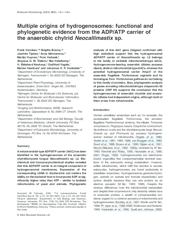 (PDF) Hydrogenosomes in a mixed isolate of Isotricha prostoma and ...