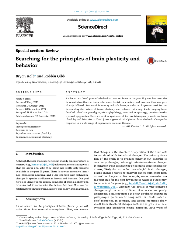 (PDF) Searching for the principles of brain plasticity and behavior