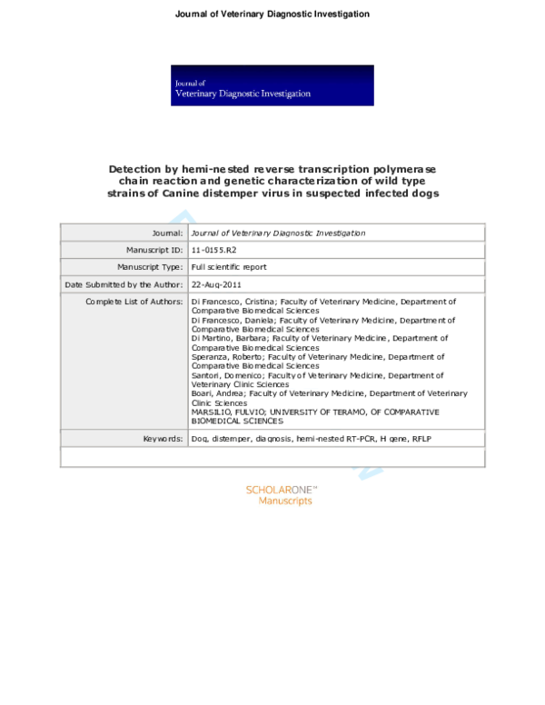 Pdf Detection By Hemi Nested Reverse Transcription Polymerase Chain