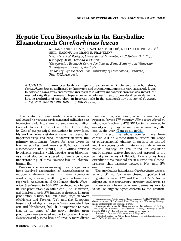 (PDF) Hepatic urea biosynthesis in the euryhaline elasmobranch ...