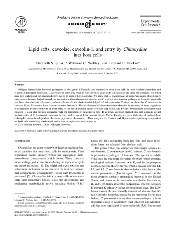 (PDF) Lipid rafts, caveolae, caveolin-1, and entry by Chlamydiae into ...