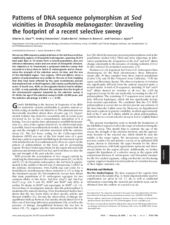 (PDF) High fidelity of the polymerase chain reaction | Diễm Phạm - Academia.edu
