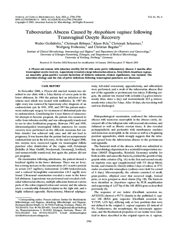 (PDF) Tuboovarian Abscess Caused by Atopobium vaginae following ...