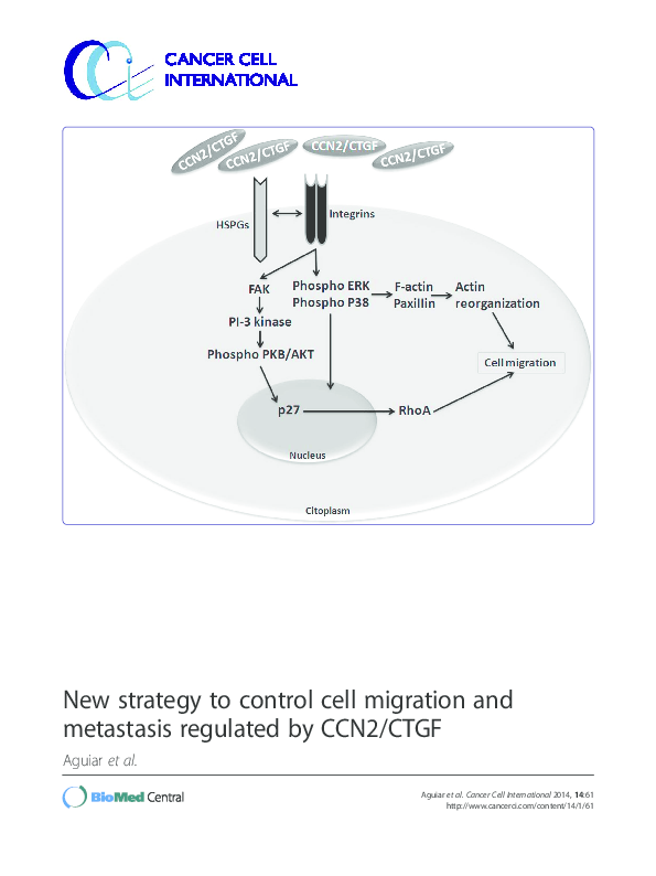 (PDF) New strategy to control cell migration and metastasis regulated by CCN2/CTGF