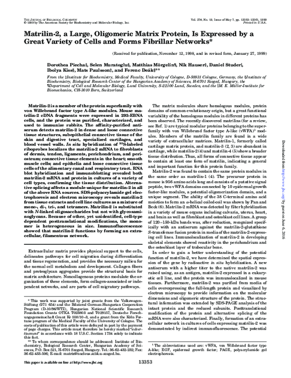 (PDF) Matrilin-2, a Large, Oligomeric Matrix Protein, Is Expressed by a ...