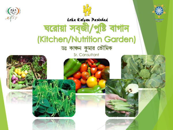 (PDF) Presentation on Kitchen / Nutritional Garden
