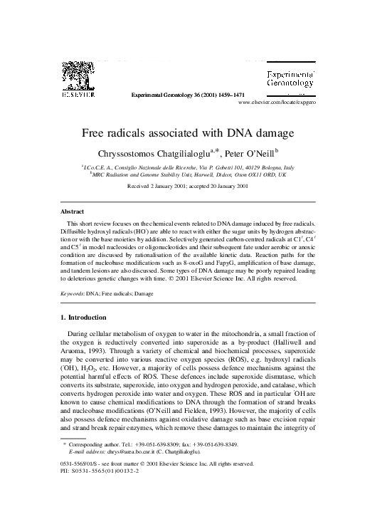 (PDF) Free radicals associated with DNA damage
