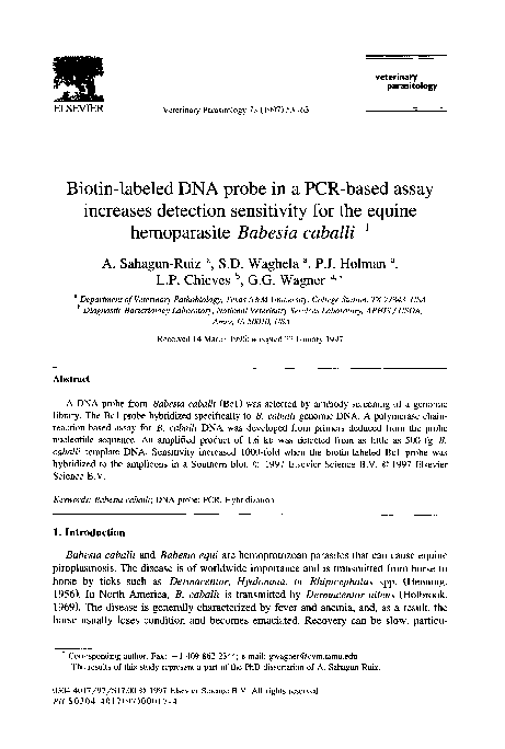 (PDF) Biotin-labeled DNA probe in a PCR-based assay increases detection sensitivity for the ...