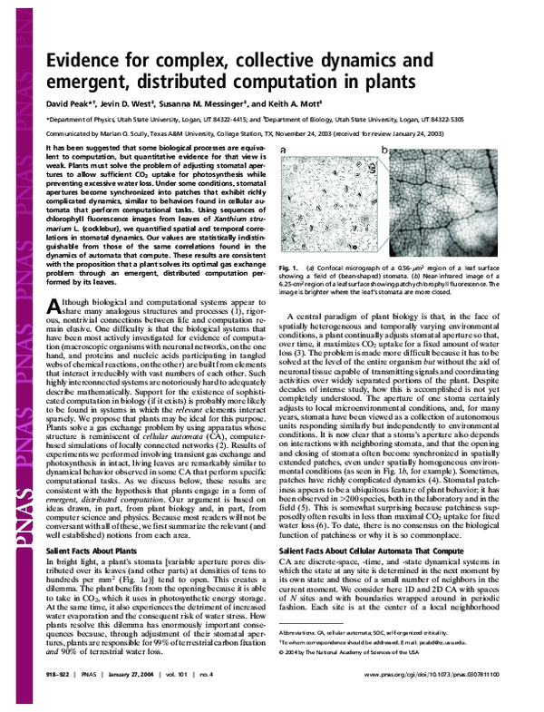 (PDF) Evidence for complex, collective dynamics and emergent, distributed computation in plants