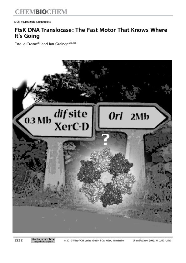 (PDF) FtsK DNA Translocase: The Fast Motor That Knows Where It's Going