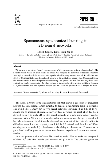 (PDF) Spontaneous synchronized bursting in 2D neural networks