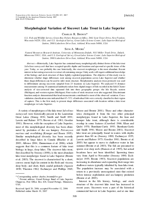 (PDF) Morphological Variation of Siscowet Lake Trout in Lake Superior