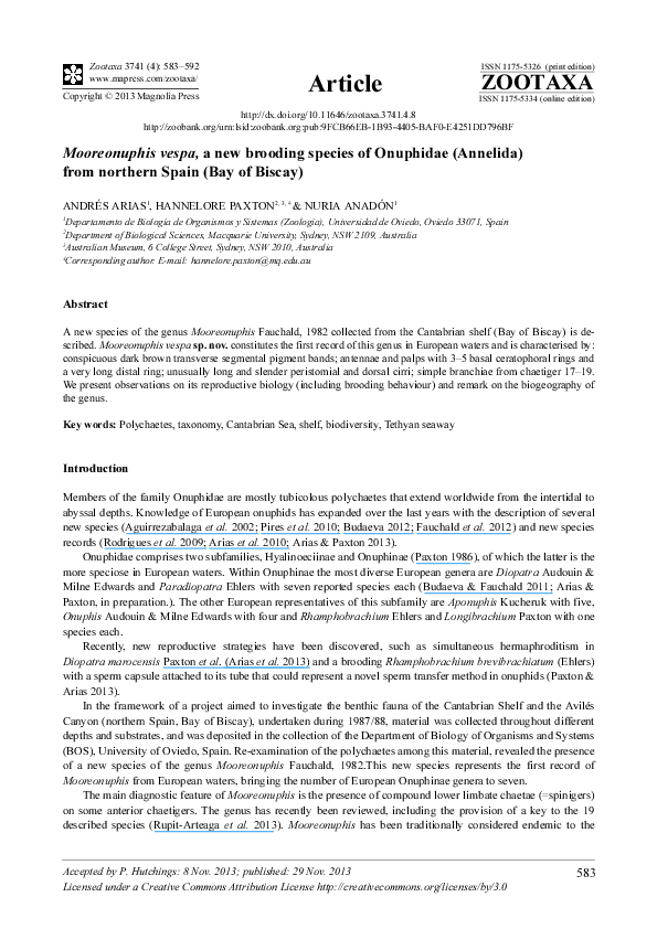 (PDF) Mooreonuphis vespa, a new brooding species of Onuphidae (Annelida ...