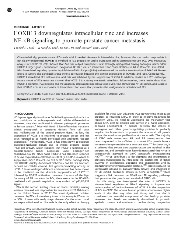 (PDF) HOXB13 downregulates intracellular zinc and increases NF-kB ...