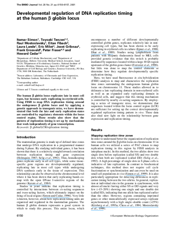 (PDF) Developmental regulation of DNA replication timing at the human ...