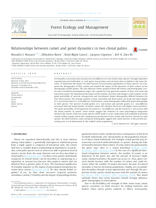 (PDF) Relationships between ramet and genet dynamics in two clonal palms
