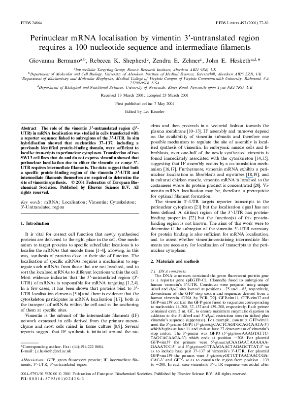 (PDF) Perinuclear mRNA localisation by vimentin 3′-untranslated region ...