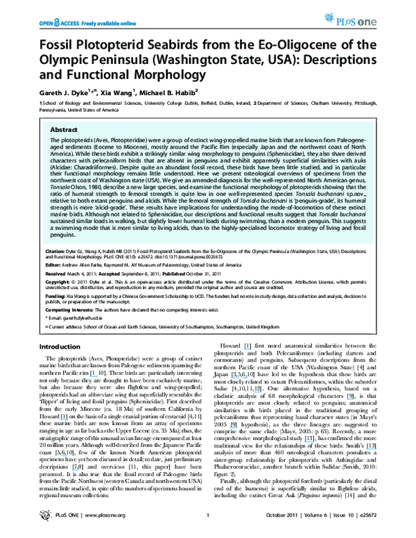 (PDF) Fossil Plotopterid Seabirds from the Eo-Oligocene of the Olympic ...