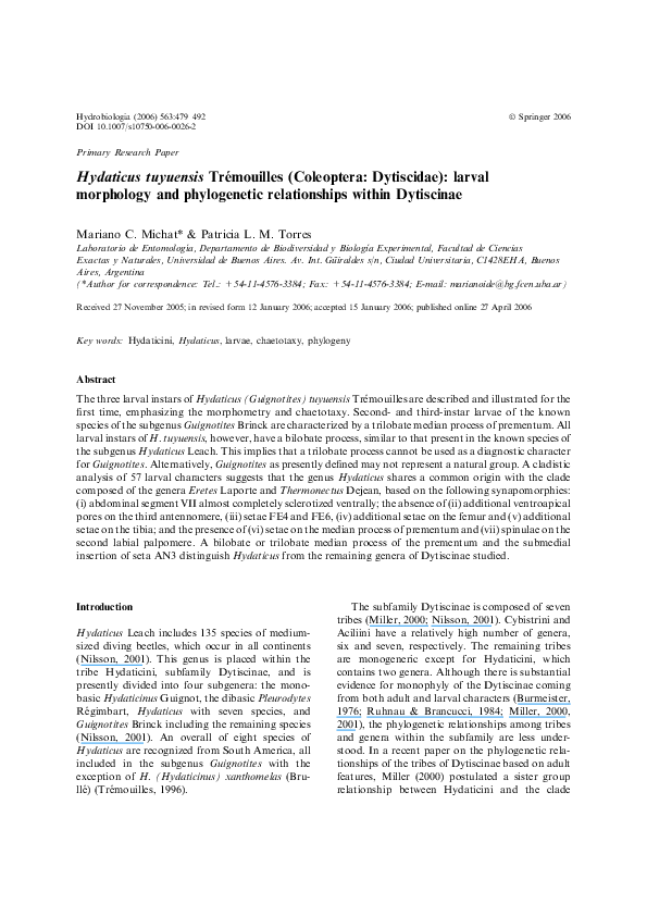 (PDF) Hydaticus tuyuensis Trémouilles (Coleoptera: Dytiscidae): larval ...