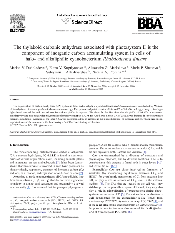 (PDF) The thylakoid carbonic anhydrase associated with photosystem II ...
