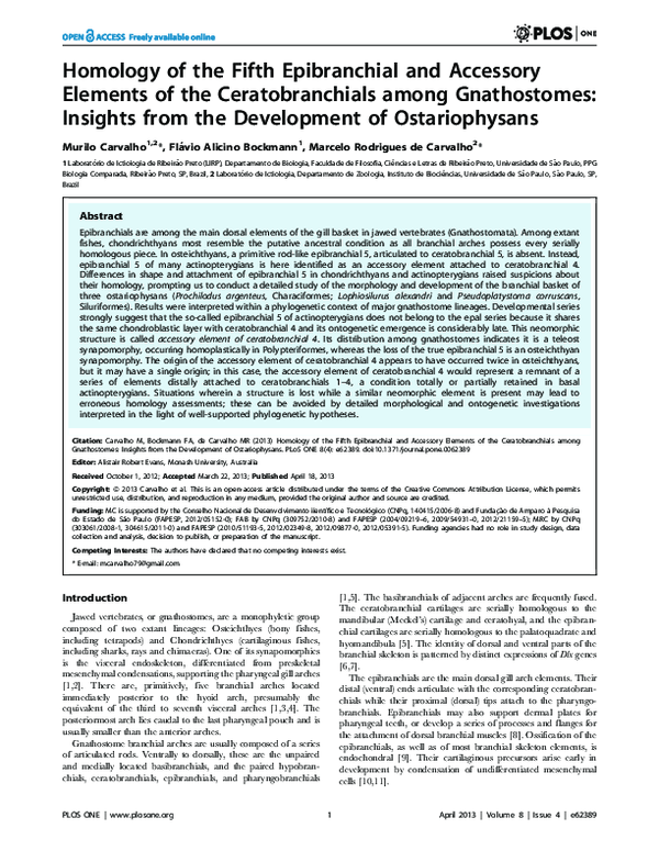 (PDF) Homology of the Fifth Epibranchial and Accessory Elements of the ...