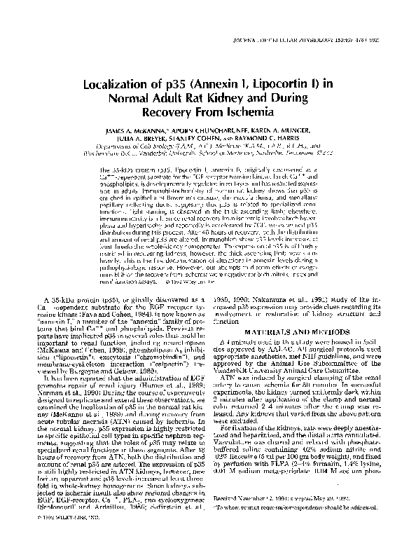 (PDF) Localization of p35 (annexin I, lipocortin I) in normal adult rat ...