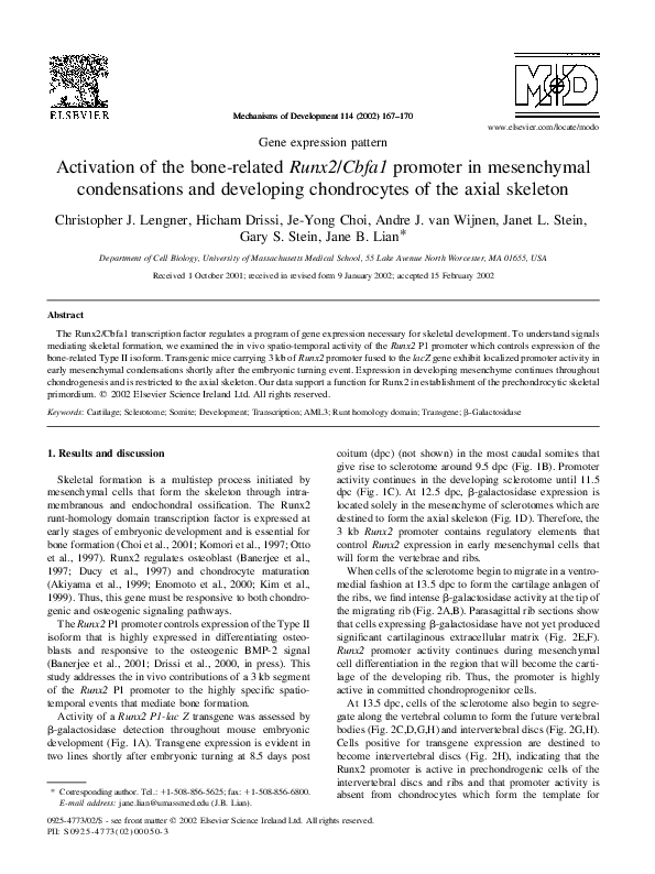 (PDF) Activation of the bone-related Runx2/Cbfa1 promoter in ...