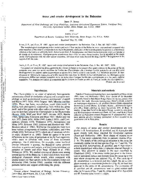 (PDF) Ascus and crozier development in the Balansiae