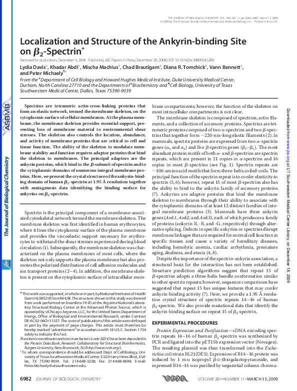 (PDF) Localization and Structure of the Ankyrin-binding Site on 2-Spectrin