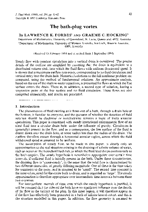 (PDF) The bath-plug vortex