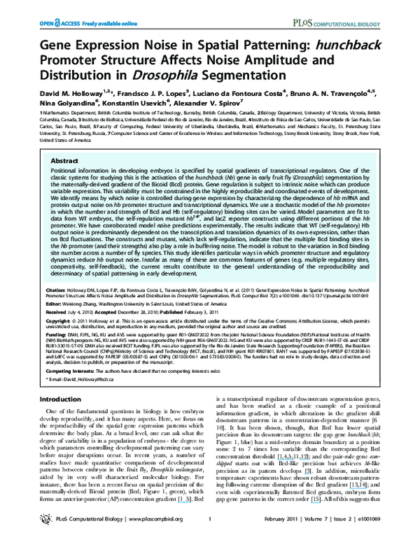 (PDF) Gene expression noise in spatial patterning: hunchback promoter ...