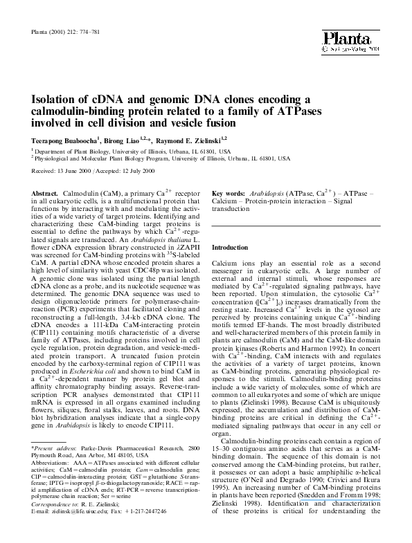 (PDF) Isolation of cDNA and genomic DNA clones encoding a calmodulin-binding protein related to ...