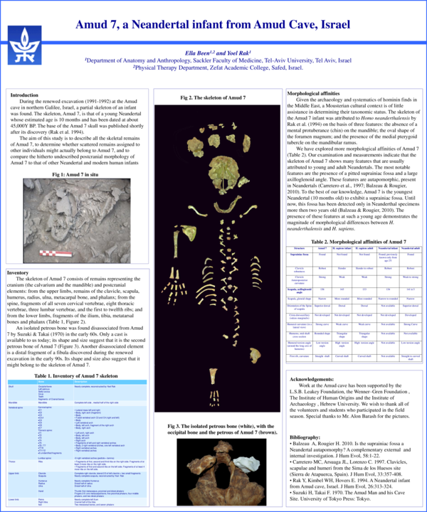 (PDF) Amud 7, a Neandertal infant from Amud Cave, Israel