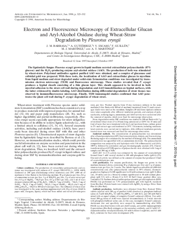 (PDF) Electron and fluorescence microscopy of extracellular glucan and ...