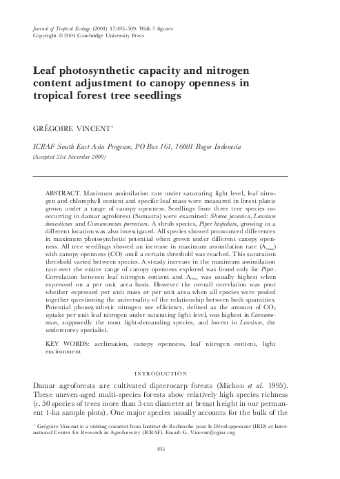 (PDF) Growth and photosynthesis of seedlings of four tree species from a dry tropical ...