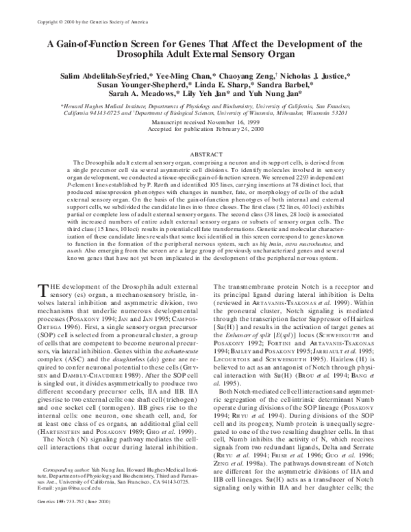 (PDF) A gain-of-function screen for genes that affect the development ...