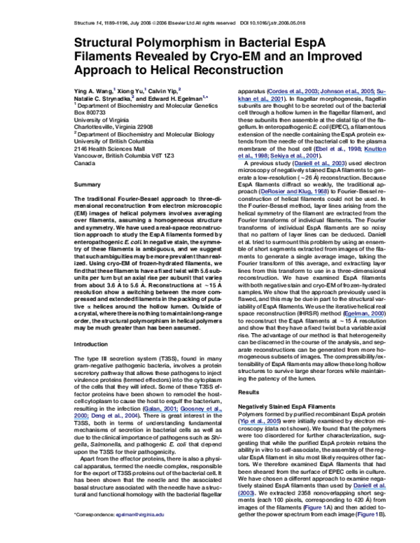 (PDF) Structural polymorphism in bacterial EspA filaments revealed by ...