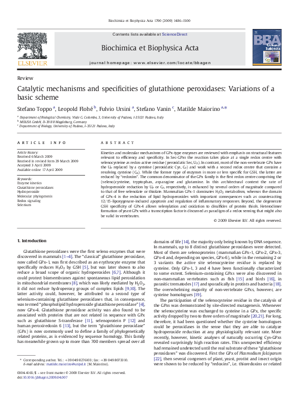 (PDF) Catalytic mechanisms and specificities of glutathione peroxidases ...