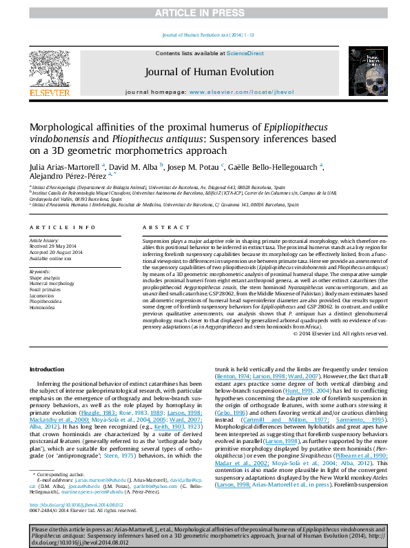 (PDF) Morphological affinities of the proximal humerus of ...