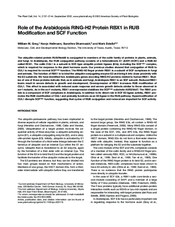 (PDF) Role of the Arabidopsis RING-H2 Protein RBX1 in RUB Modification ...