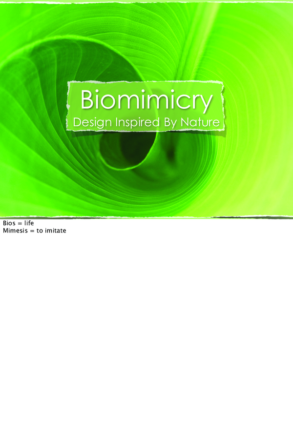 (PDF) Biomimicry Design Inspired By Nature
