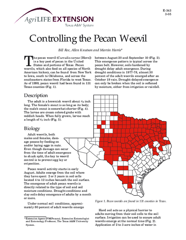 (PDF) Controlling the Pecan Weevil