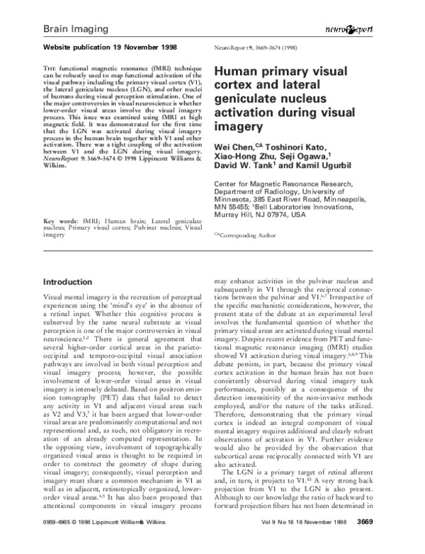 Pdf Activation Of Human Primary Visual Cortex During Visual Recall A